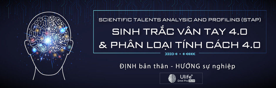 Taxi24h.vn | Luôn Cùng Bạn Đồng Hành